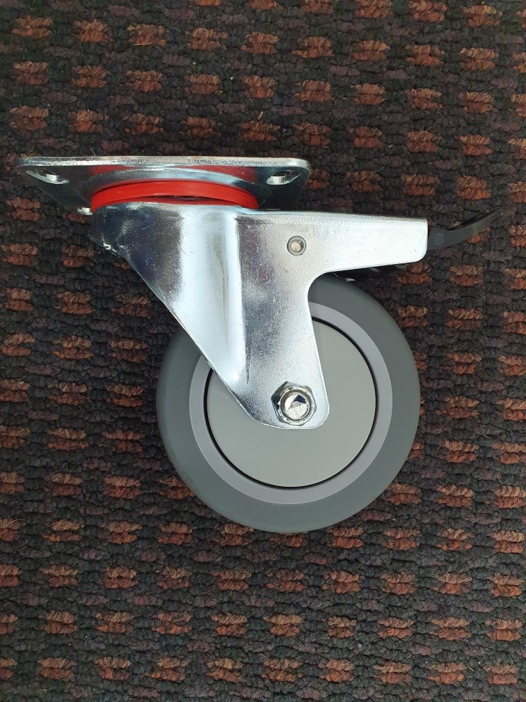 Castor Economy: 50 - 70 kg